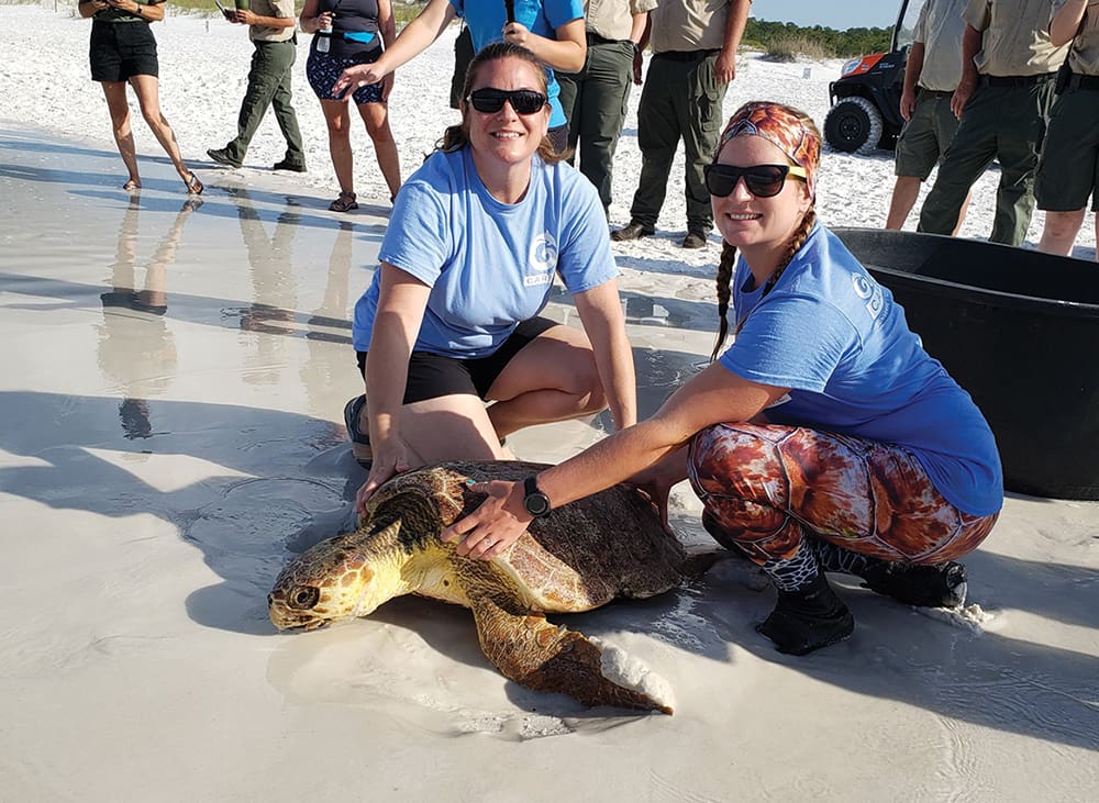 Saving the Sea Turtles - Destin Life | News, Events and Community ...