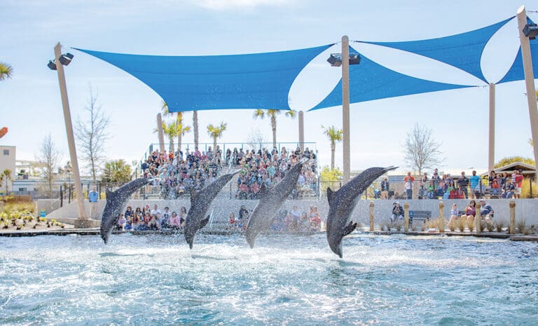 Gulfarium is Making a Splash! - Destin Life | News, Events and Community Information