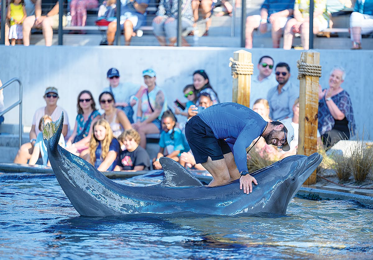 Join Us for Gulfarium’s 2nd Annual CARE on the Coast Sea Turtle ...